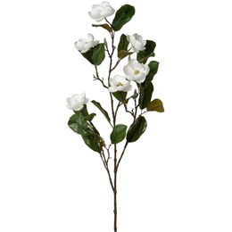 Kunstblume Creativ green, H:120cm, weiß, Kunststoff, Kunstpflanzen, "Magnolienzweig", mit zauberhaften Blüten
