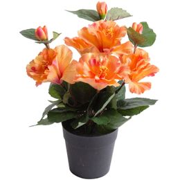 Kunstblume BOTANIC-HAUS, B:20cm H:27cm T:20cm Ø:20cm, orange, Kunststoff, Kunstpflanzen, "Hibiskus im Topf"