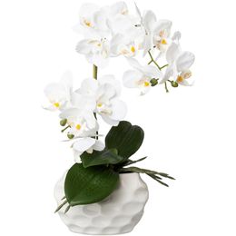 Kunstorchidee Creativ green, B:17cm H:33cm T:13cm, weiß, Obermaterial: 95% Polyethylen, 5% Polyester, Kunstpflanzen, "Deko-Orchidee Phalaenopsis im
