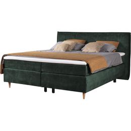 Boxspringbett Alina, B:180cm L:208cm, grün, Samtstoff DFN (100% Polyester), Jugendzimmer, Komplettbetten, "Henri", inklusive Matratze und Topper, in