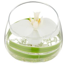 Kunstblume Creativ green, H:12cm, weiß, Kunststoff, Kunstpflanzen, "Glasgefäß mit Orchideenblüte", als elegantes Arrangement