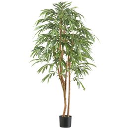 Kunstpflanze Creativ green, H:170cm, grün, Kunststoff, Kunstpflanzen, "Ficus longifolia", mit Naturstamm