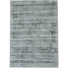 Teppich CarpetFine, B:240cm H:13mm L:340cm, gr&uuml;n, Viskose, Wohnzimmer, Teppiche, "Ava Viskoseteppich", Seidenoptik, leichter Glanz, auch als L&auml;ufer