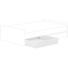 Bettschubkasten Paidi, B:98,5cm H:20cm T:95,2cm, wei&szlig;, Spanplatte, Schubladen, "Bettkasten/Unterschiebebett", extra Stauraum, in verschiedenen Farben