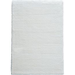 Hochflor-Teppich Astra, B:200cm H:30mm L:290cm, wei&szlig;, Kunstfaser, Teppiche, "New Livorno", Kurzflor, Wohnzimmer