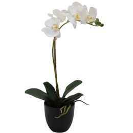 Kunstorchidee Creativ green, H:45cm, weiß, Kunststoff, Kunstpflanzen, "Orchidee Phalaenopsis", mit täuschend echten Blüten