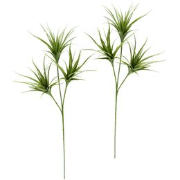 Kunstpflanze I.GE.A., B:23cm H:63cm, grün, Kunststoff, Badezimmer, Kunstpflanzen, "Tillandsia", 2er Set