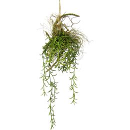 Kunstpflanze I.GE.A., B:20cm H:72cm L:18cm, grün, Obermaterial: 100% Kunststoff, Badezimmer, Kunstpflanzen, "Tillandsia", Hänger auf Ast Künstlicher