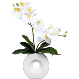 Kunstorchidee Creativ green, H:35cm, weiß, Kunststoff, Kunstpflanzen, "Phalaenopsis", in Keramikvase