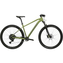 KROSS Mountainbike "Hardtail Level 4.0", 51cm, 29 Zoll (73,66cm) hinten: 29 Zoll (73,66cm), braun, Fahrr&auml;der