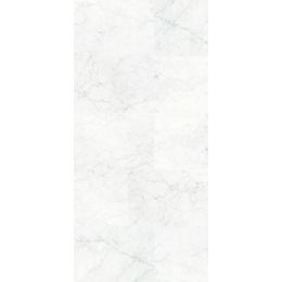 Duschr&uuml;ckwand Sanotechnik, B:100cm H:205cm, wei&szlig;, Aluminium, Spritzschutzw&auml;nde, "Sanowall", H&ouml;he: 205 cm