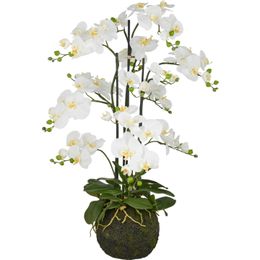 Kunstorchidee Creativ green, H:110cm, weiß, Kunststoff, Kunstpflanzen, "Orchidee Phalaenopsis", mit künstlichem Erdballen