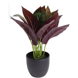 Künstliche Zimmerpflanze BOTANIC-HAUS, B:20cm H:20cm T:20cm Ø:20cm, grün, Kunststoff, Kunstpflanzen, "Calathea"