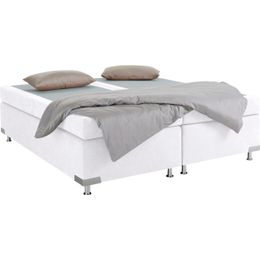 Boxspringbett, B:162cm L:201cm, wei&szlig;, Westfalia Schlafkomfort, Microvelours (100% Polyester), Komplettbetten, "Holland", ohne Kopfteil, frei im Raum