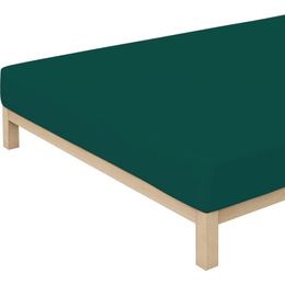 Spannbettlaken Schlafgut, gr&uuml;n, Mako-Zwirn-Jersey, Obermaterial: 95% Baumwolle, 5% Elasthan, Bettlaken, "Premium", Zero Waste Verpackung, PREMIUM