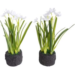 Kunstblume BOTANIC-HAUS, B:11cm H:22cm T:11cm &Oslash;:11cm, wei&szlig;, Kunststoff, Kunstpflanzen, "Narzissen Arrangement im Erdballen"