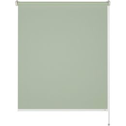 Sch&ouml;ner Wohnen Kollektion Seitenzugrollo, B:60cm H:150cm, gr&uuml;n, SCH&Ouml;NER WOHNEN-KOLLEKTION, Polyester, Rollos, "Tageslichtrollo Tizia"