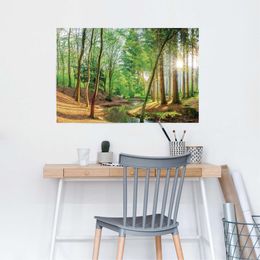 Poster Reinders, B:91,5cm H:61cm T:0,1cm, gr&uuml;n, Holzwerkstoff, Bilder, "Wald in der Sonne"