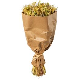 Trockenblume CREATIV HOME, H:44cm, gr&uuml;n, Kunstpflanzen, "Trockenblumenbouquet"