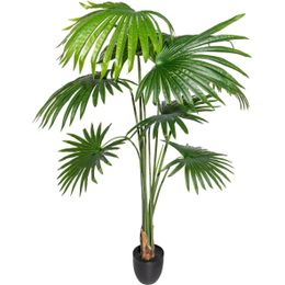 Kunstbaum Creativ green, H:150cm &Oslash;:130cm, gr&uuml;n, Kunststoff, Wohnzimmer, Kunstpflanzen, "Washingtonia"