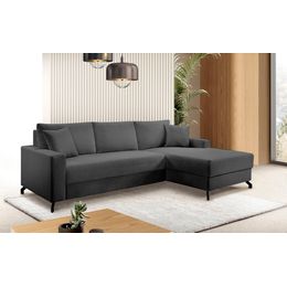 Ecksofa, B:247cm H:85cm T:162cm, grau, exxpo - SOFA FASHION, Wohnzimmer, Sofas, "Quattro L-Form, B/T: 247/162 cm", wahlweise mit Bettfunktion,