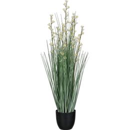 Kunstgras Creativ green, H:60cm, gr&uuml;n, Kunststoff, Kunstpflanzen, "Gras Juncus", mit zarten Bl&uuml;ten