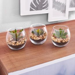 Kunstpflanze Creativ green, B:7cm H:7cm T:8cm, grün, Glas, Kunststoff, Badezimmer, Kunstpflanzen, "Sukkulenten"