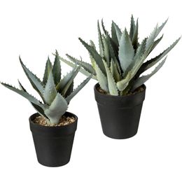 K&uuml;nstliche Zimmerpflanze Creativ green, gr&uuml;n, Kunststoff, Kunstpflanzen, 2er Set
