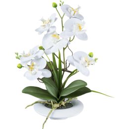Kunstorchidee Creativ green, H:41cm, wei&szlig;, Kunststoff, Kunstpflanzen, "Orchidee Phalaenopsis", in au&szlig;ergew&ouml;hnlicher Keramikschale