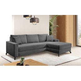 Ecksofa, B:247cm H:85cm T:162cm, grau, exxpo - SOFA FASHION, Wohnzimmer, Sofas, "Quattro L-Form, B/T: 247/162 cm", wahlweise mit Bettfunktion,