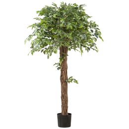 Kunstpflanze Creativ green, H:175cm, grün, Kunststoff, Kunstpflanzen, "Ficus benjamina", mit lianenartigem Stamm