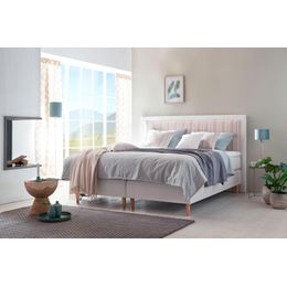 Boxspringbett GR&Uuml;NE BETTEN, wei&szlig;, Bezug Zierkissen: 52% Polyester, 48% Baumwolle;Bezug Matratzeneinfassung: Jersey (100% Polyester);Bezug Topper: