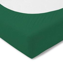 Bettlaken Estella, B:100cm L:200cm, gr&uuml;n, Jersey-Elasthan, Obermaterial: 97% Baumwolle, 3% Elasthan, Bettlaken, "Zwirnjersey", langlebig,