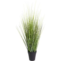Kunstgras BOTANIC-HAUS, B:22cm H:60cm T:22cm Ø:22cm, grün, Kunststoff, Kunstpflanzen, "Gras Festuca"