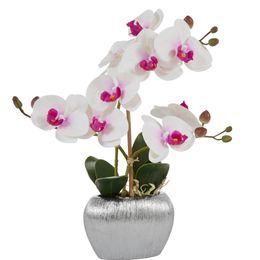 Kunstpflanze Home Affaire, B:13cm H:38cm T:6,5cm, weiß, Keramik, Kunststoff, Polyester, Badezimmer, Kunstpflanzen, "Orchidee", Kunstorchidee, im Topf