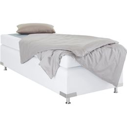 Boxspringbett, B:92cm L:201cm, weiß, Westfalia Schlafkomfort, Microvelours (100% Polyester), Komplettbetten, "Holland", ohne Kopfteil, frei im Raum