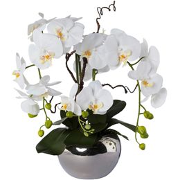Kunstorchidee Creativ green, H:55cm, wei&szlig;, Kunststoff, Kunstpflanzen, "Phalaenopsis", im Keramiktopf