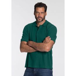 MAN'S WORLD MAN'S WORLD Herren Poloshirt, gr&uuml;n, Basic, Gr. 52, unifarben, Piqu&eacute;, Obermaterial: 100% Baumwolle, Shirts, Kurzarm, lockere Passform, unifarben