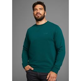 MAN'S WORLD MAN'S WORLD Herren Sweatshirt, gr&uuml;n, Basic, Gr. XL, unifarben, angeraute Sweatware, Obermaterial: 60% Baumwolle, 40% Polyester, Sweatshirts, Langarm,