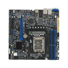 ASUS P13R-M, Mainboard