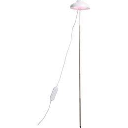Airam, Tischlampe, Iris -kasvivalo, IP20,, 240 lm, valkoinen (240 lm)