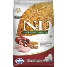 N&D Farmina Ancestral Grain Medium/Maxi Puppy Huhn 2,5 kg