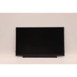 Lenovo FRU BO NT116WHM-N42 V8.1 HDT, Notebook Ersatzteile