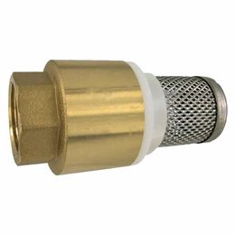 Boni-Shop&reg; Fussventil m. R&uuml;ckschlagventil + Niro Saugkorb 1"