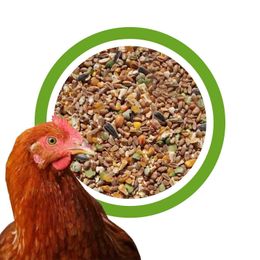 Hühnerfutter 25 kg Premium Körnerfutter PLUS Geflügelfutter für Hühner, Gänse, Enten