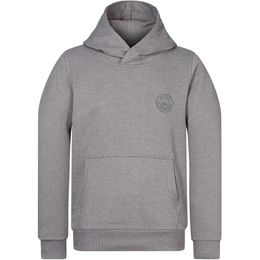 Naketano Hoodie "Theo's Lieblingspulli" in Grau | Gr.: 3XL
