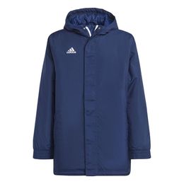 adidas Performance Unisex - Sport-Jacken & Mäntel 'ENT22 STAD JKTY' Jungen Größe 164 blau