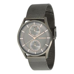 Skagen Analog Watch 'HOLST' male Grey size One Size