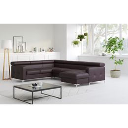 Wohnlandschaft COTTA "Sammy U-Form", braun, B:304cm H:74cm T:240cm, NaturLEDER, die Rückseite ist mit schwarzem und die Liegefläche der Bettfunktion ist mit beigem Spannstoff bezogen, Sofas, mit Kopfteilverstellung, wahlweise mit Bettfunktion & Bettkasten