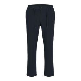 Jack & Jones Jack & Jones Pants 'JPSTACE NEO' male Blue size XS
